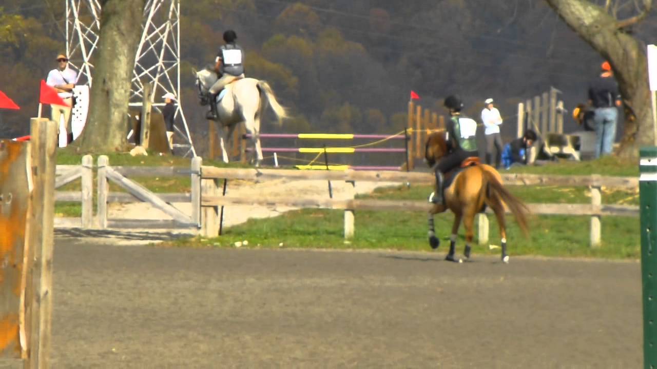 Beginner Novice at Plantation, show jumping - YouTube