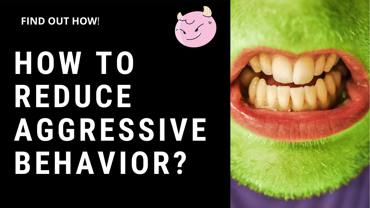 😈 How To Reduce Aggressive Behavior? - YouTube