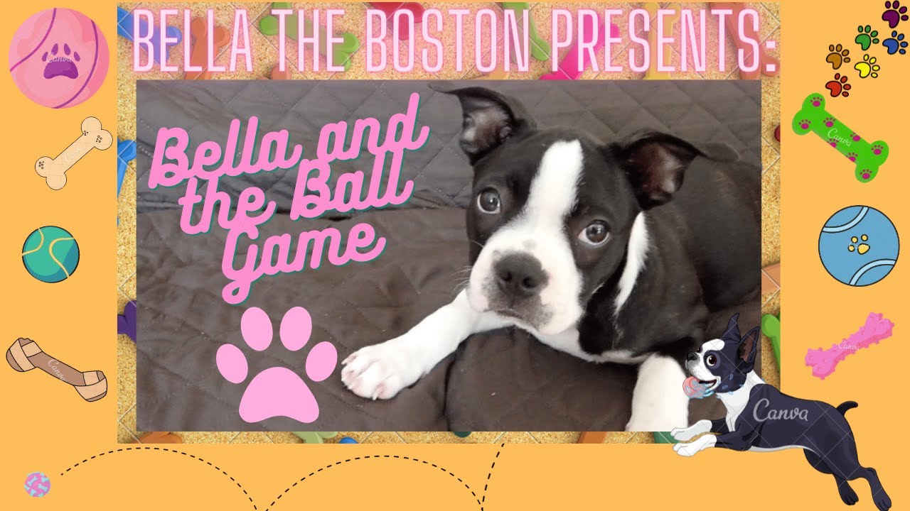 Bella and the Ball Game - YouTube