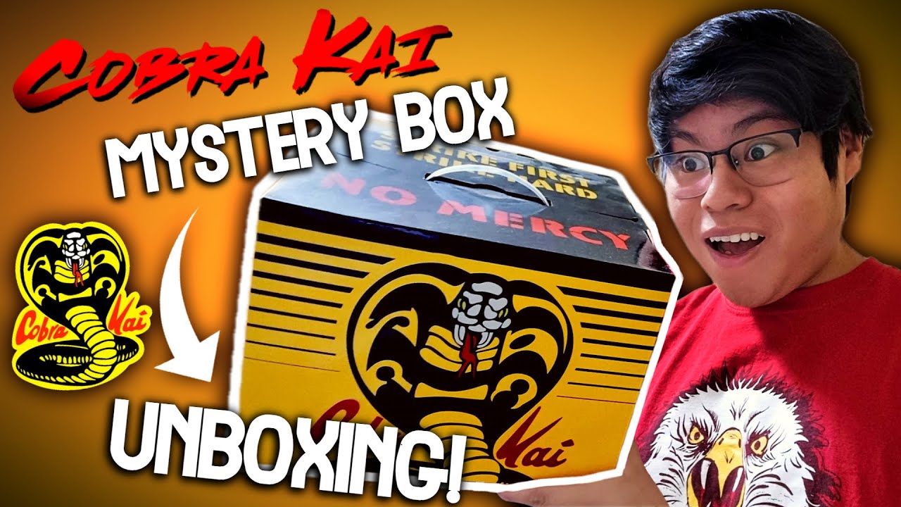 Cobra Kai Mystery Box Unboxing! - YouTube