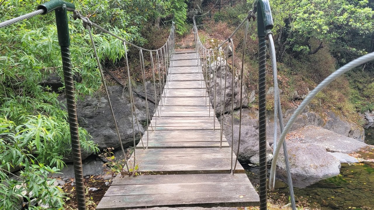 Let's Go..on a wobble bridge - YouTube