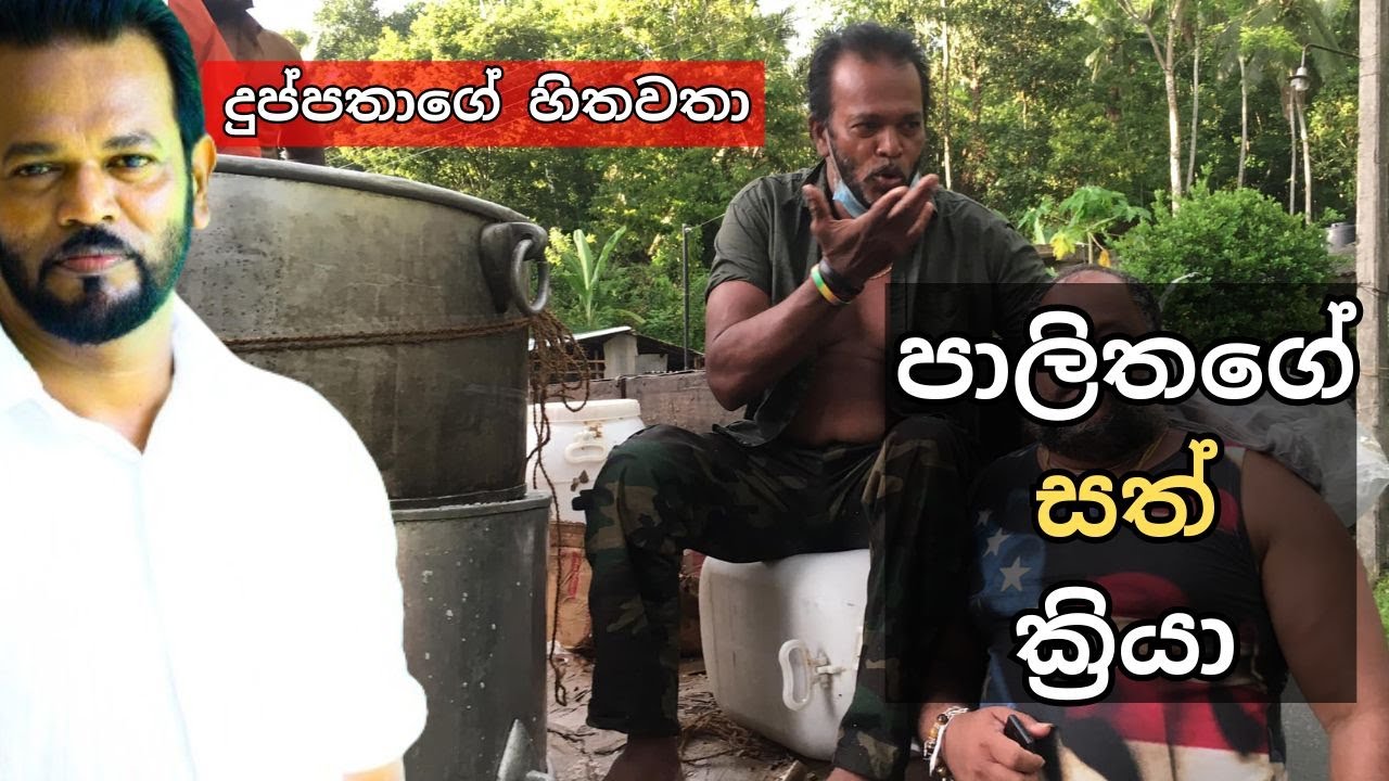 දුප්පතාගේ හිතවතා පාලිතගේ සත් ක්‍රියා | Palith Thewarapperuma Treats ...