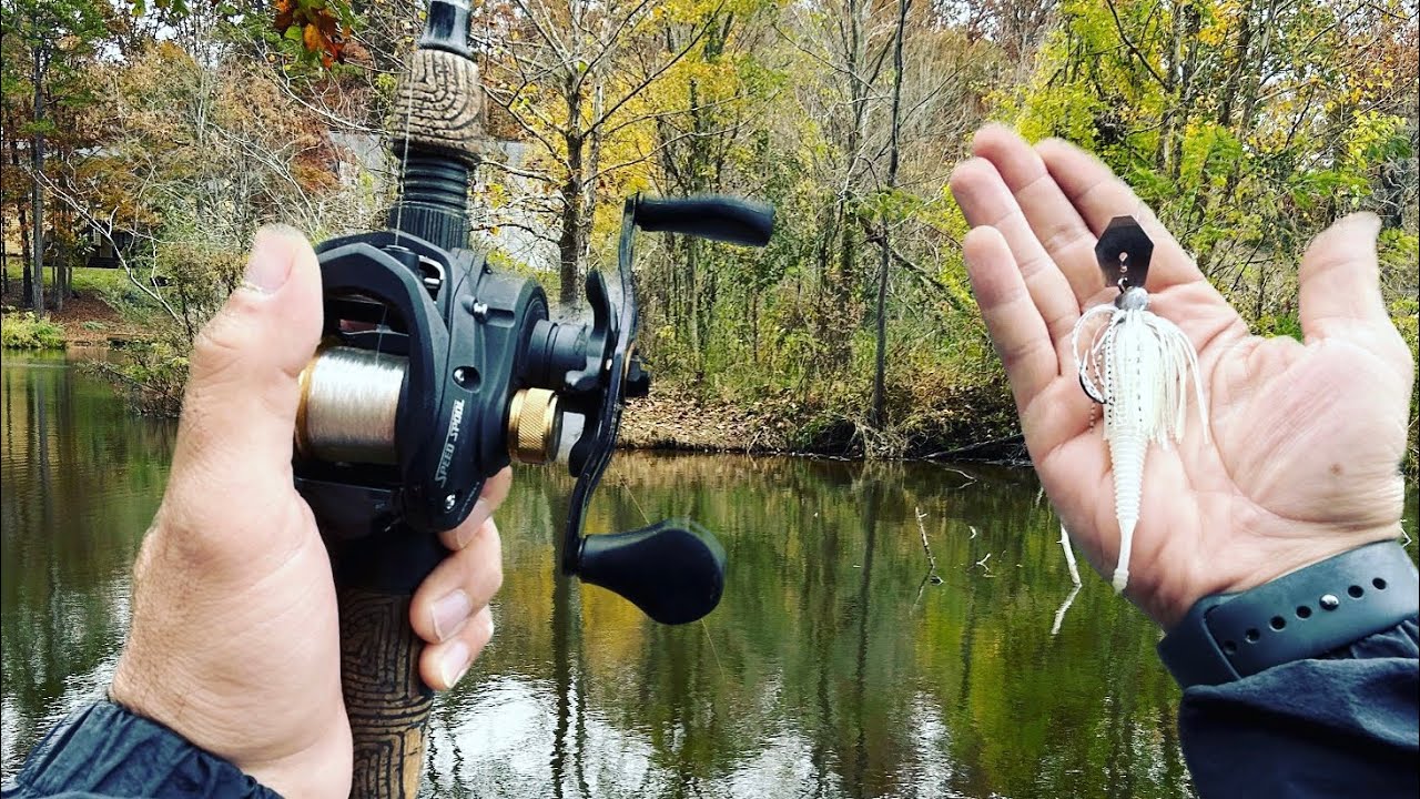 Z-man Mini Max Chatter Bait saves the day! - YouTube