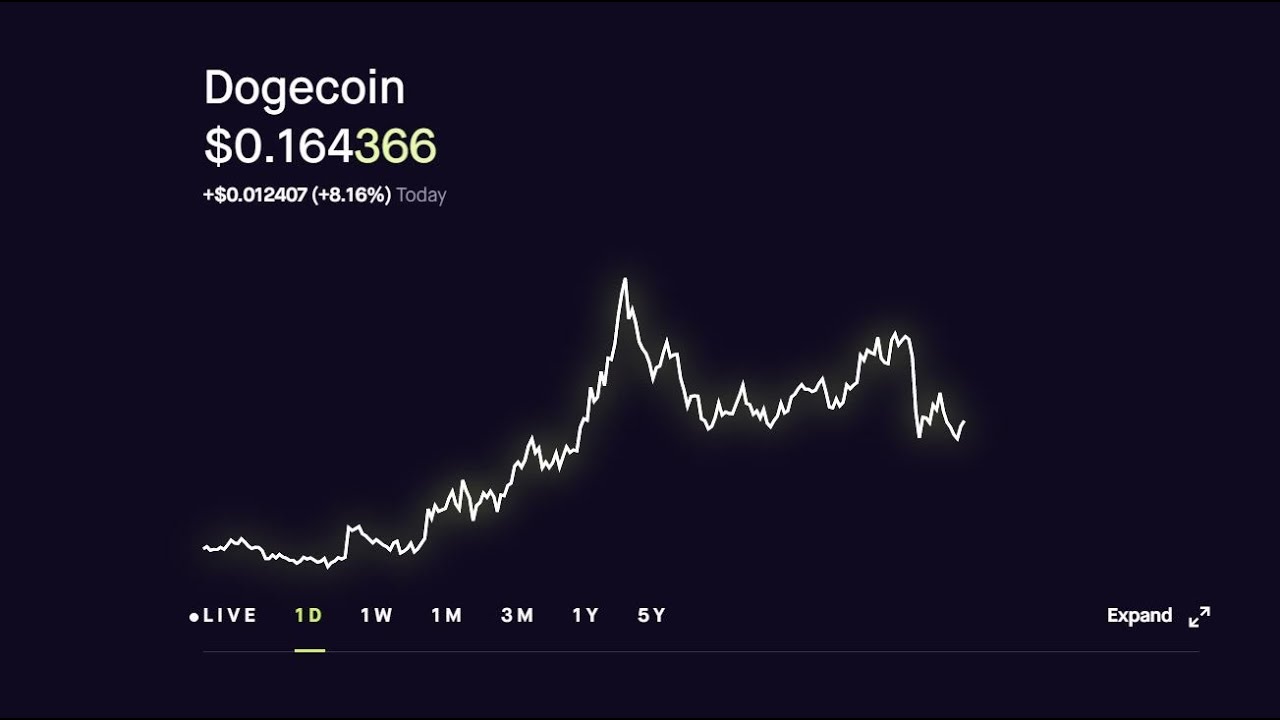 Dogecoin (DOGE) Stock Price UP (+8.13%) Today - YouTube