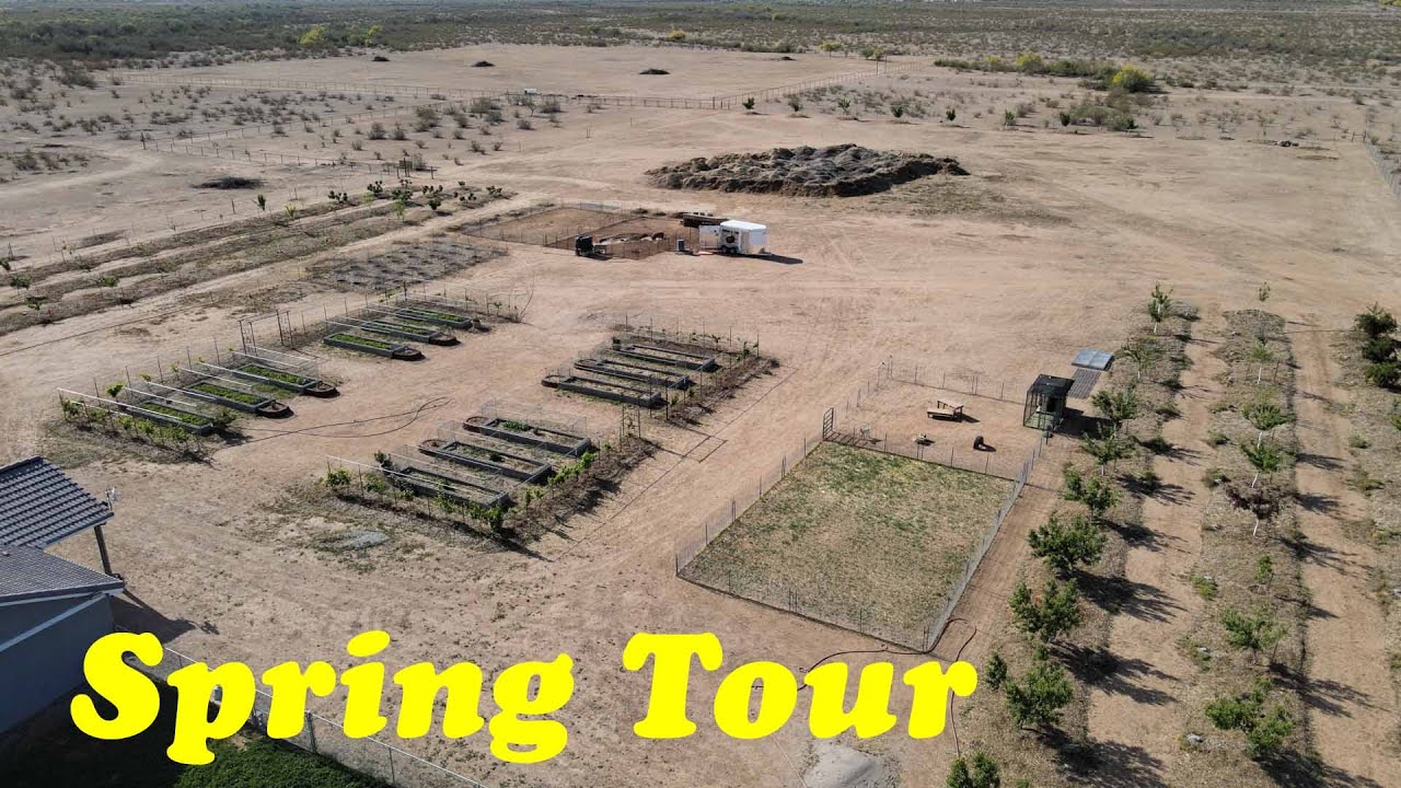 April Farm Tour | Desert Farm in Spring - YouTube