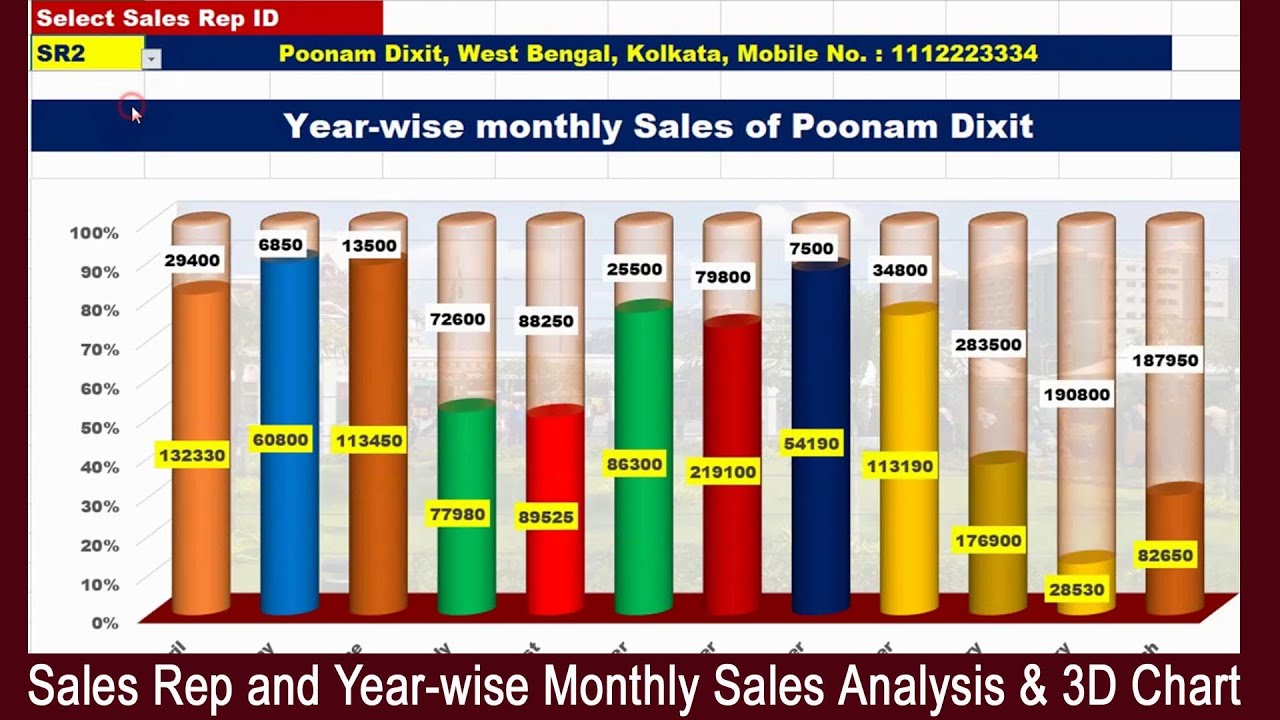 Creating 3D Sales Charts | Sales Rep and Year-wise Monthly Sales ...
