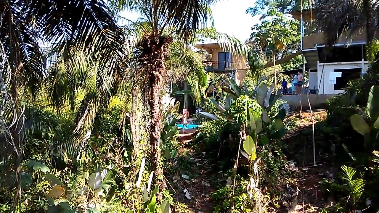 Tarzan Jungle Home Zipline into Pool Ana German Guest - YouTube