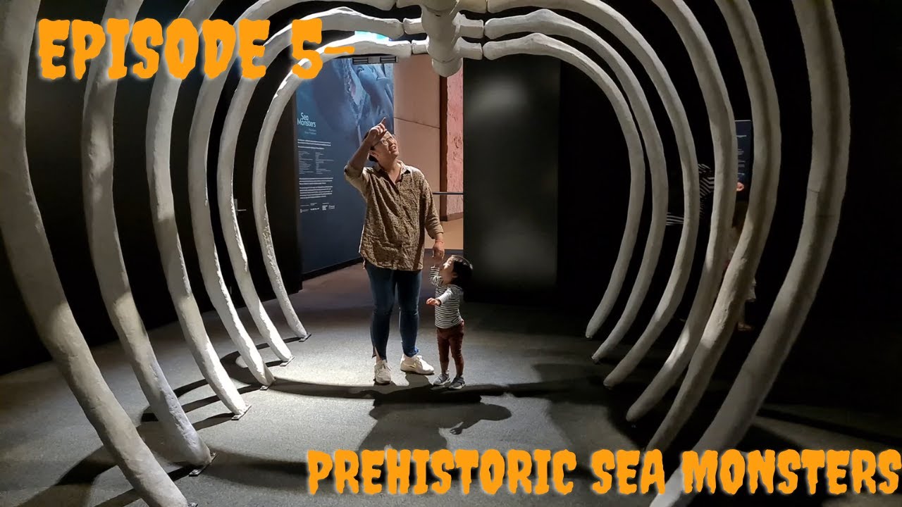 Episode 5- Sea Monsters Exhibit 2021 - YouTube