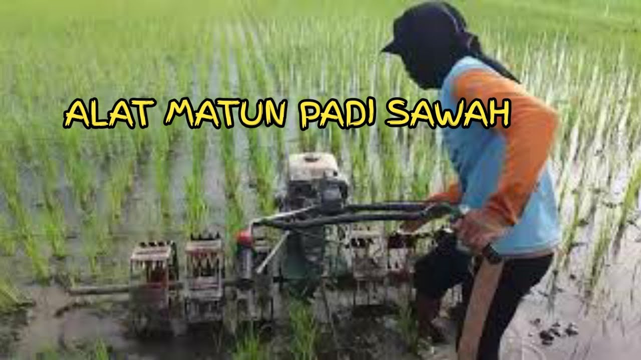 ALAT MATUN PADI SAWAH || SANGAT MEMBANTU - YouTube