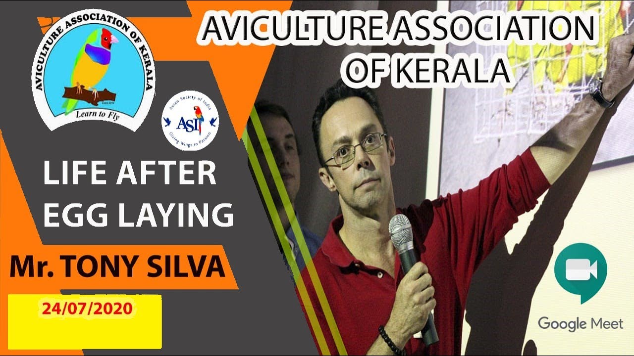 AAK Webinar: Tony Silva - Part 1/4 - YouTube