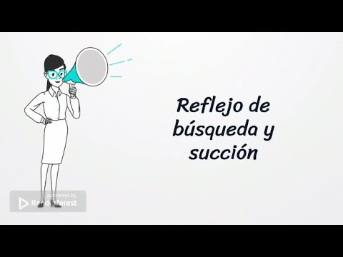 Reflejo de búsqueda y succión - YouTube
