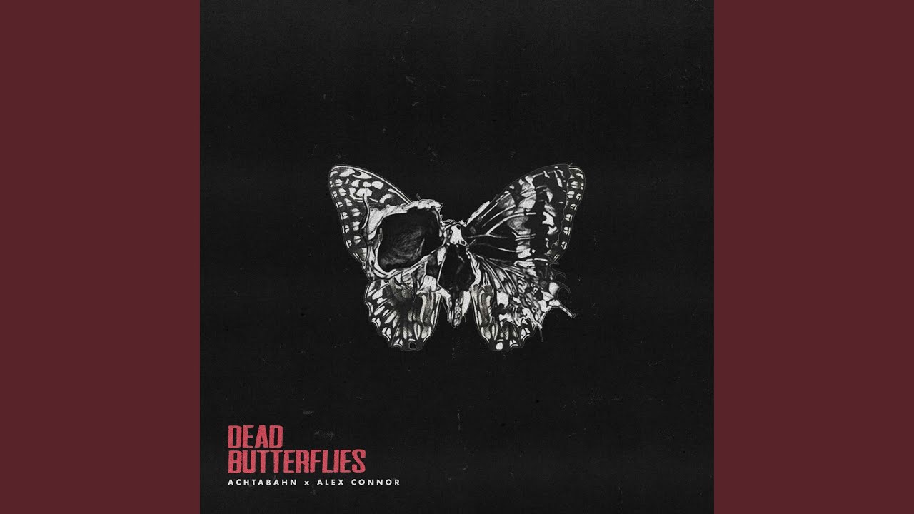 Dead Butterflies ? - YouTube
