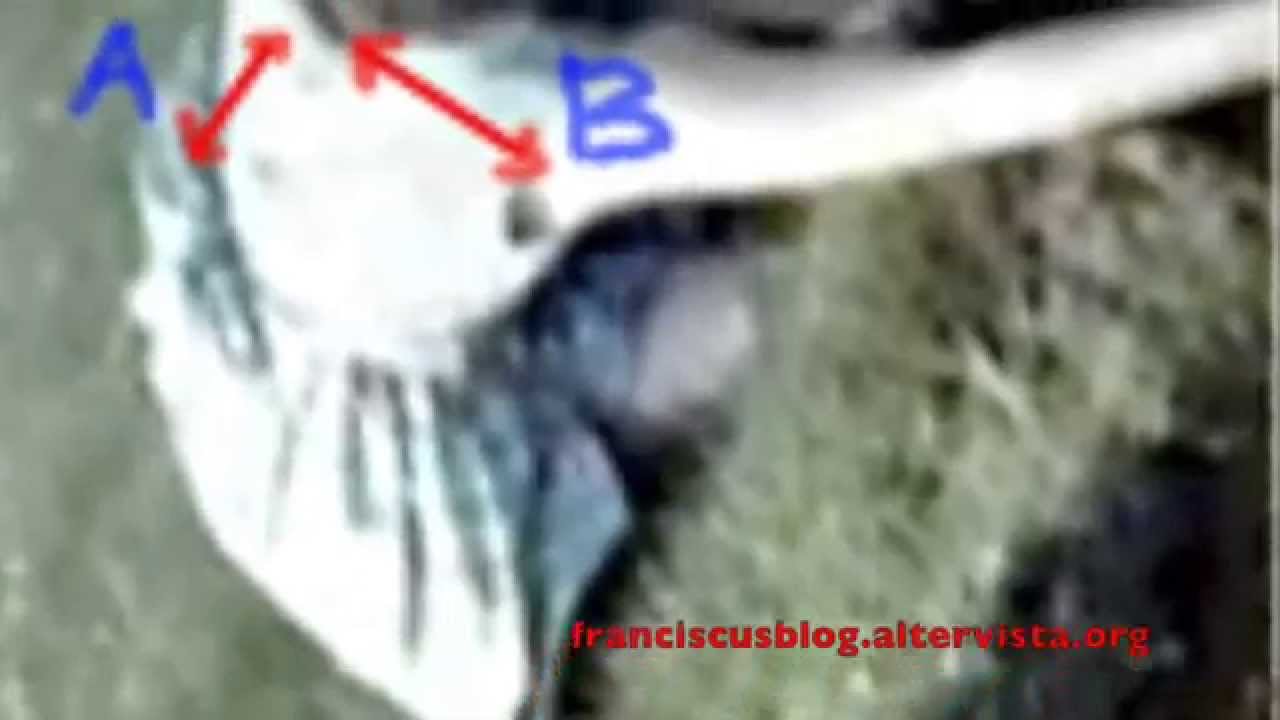 SOLWAY FIRTH SPACEMAN : MISTERO RISOLTO ! SOLVED - YouTube