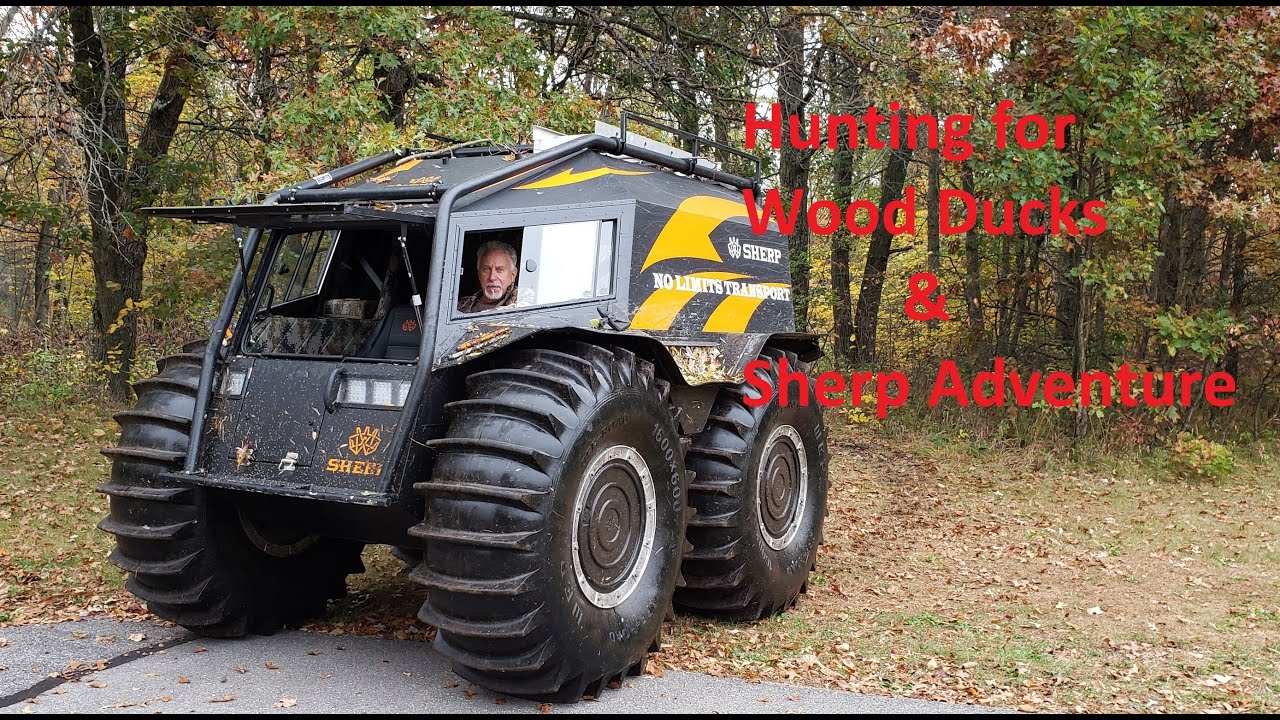 Quick Wood Duck Hunt plus Fun Adventure in a SHERP ATV - YouTube