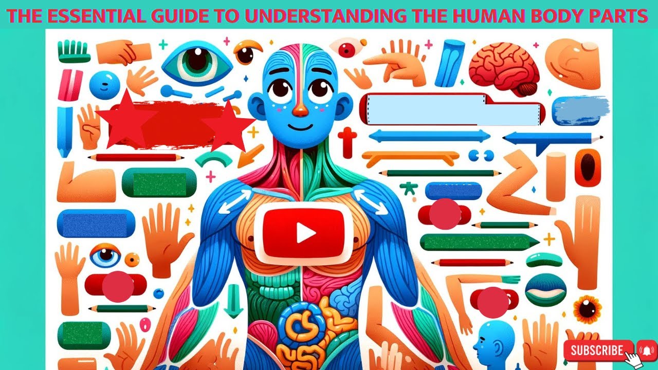 The Essential Guide to Understanding the Human Body Parts - YouTube