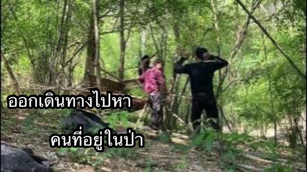 ออกเดินทางไปหาคนที่อยู่ในป่า Youtube