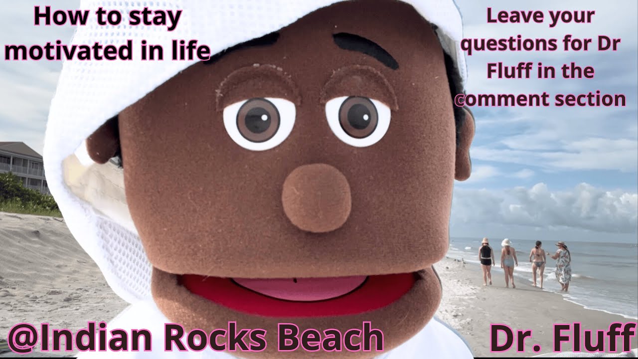 How to stay motivated in life, with Dr. Fluff. - YouTube