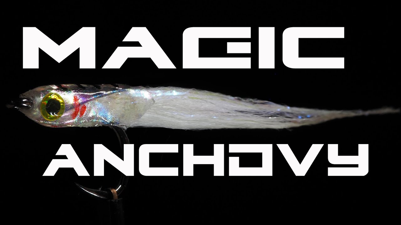 Magic Anchovy - Fly Tying with G.Zingaro - YouTube