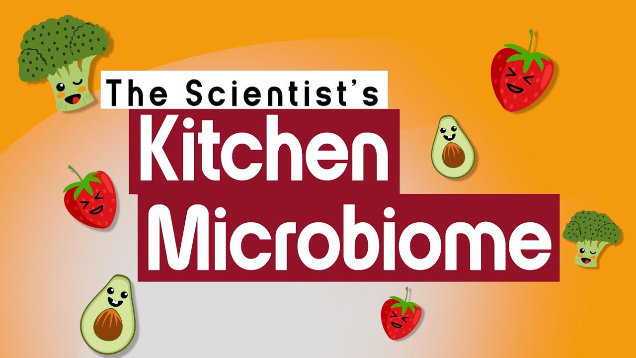 Kids, what is a microbiome? The Scientist's Kitchen at the Ekka - YouTube