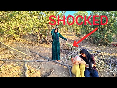 They Returned Home… Then They Saw This… 😱