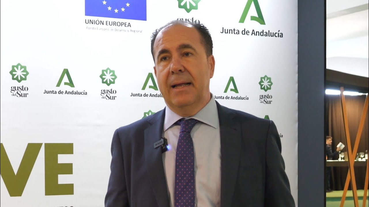 Entrevistamos a Javier Olmedo, Director gerente de La Fundación del ...