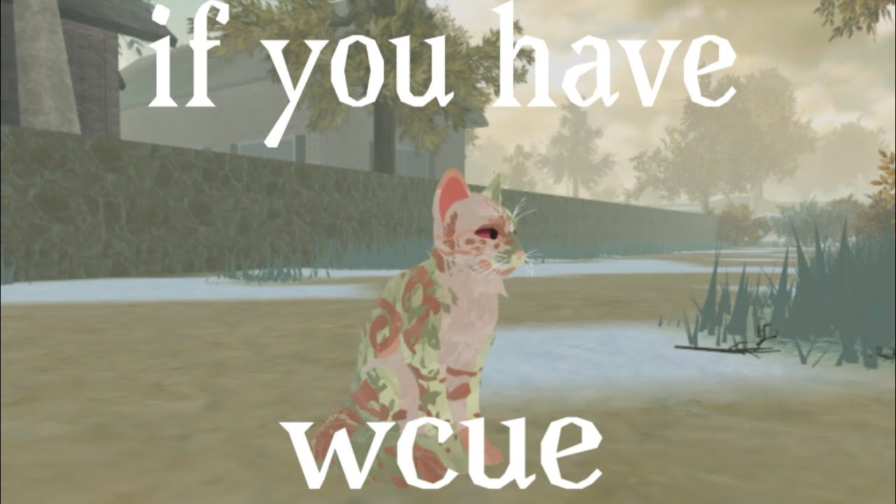 New Wcue Challengeif You Have Youtube