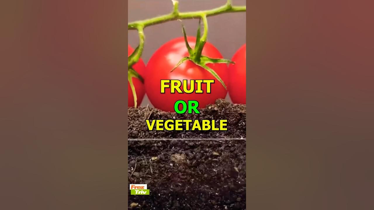 Fruits or Vegetables? The Great Tomato Debate #Tomato #Fruit # ...