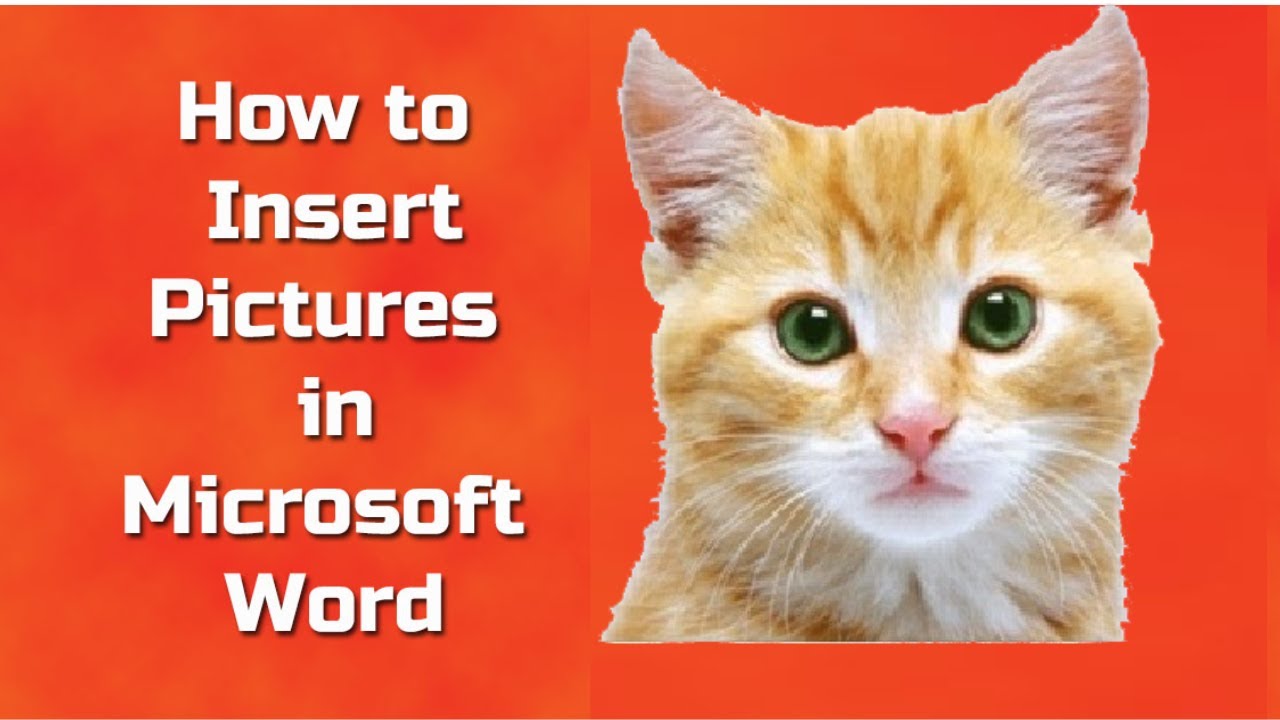 How To Insert Pictures In Microsoft Word With Text Printable Templates how-to-insert-pictures-in-microsoft-word-with-text-printable-templates