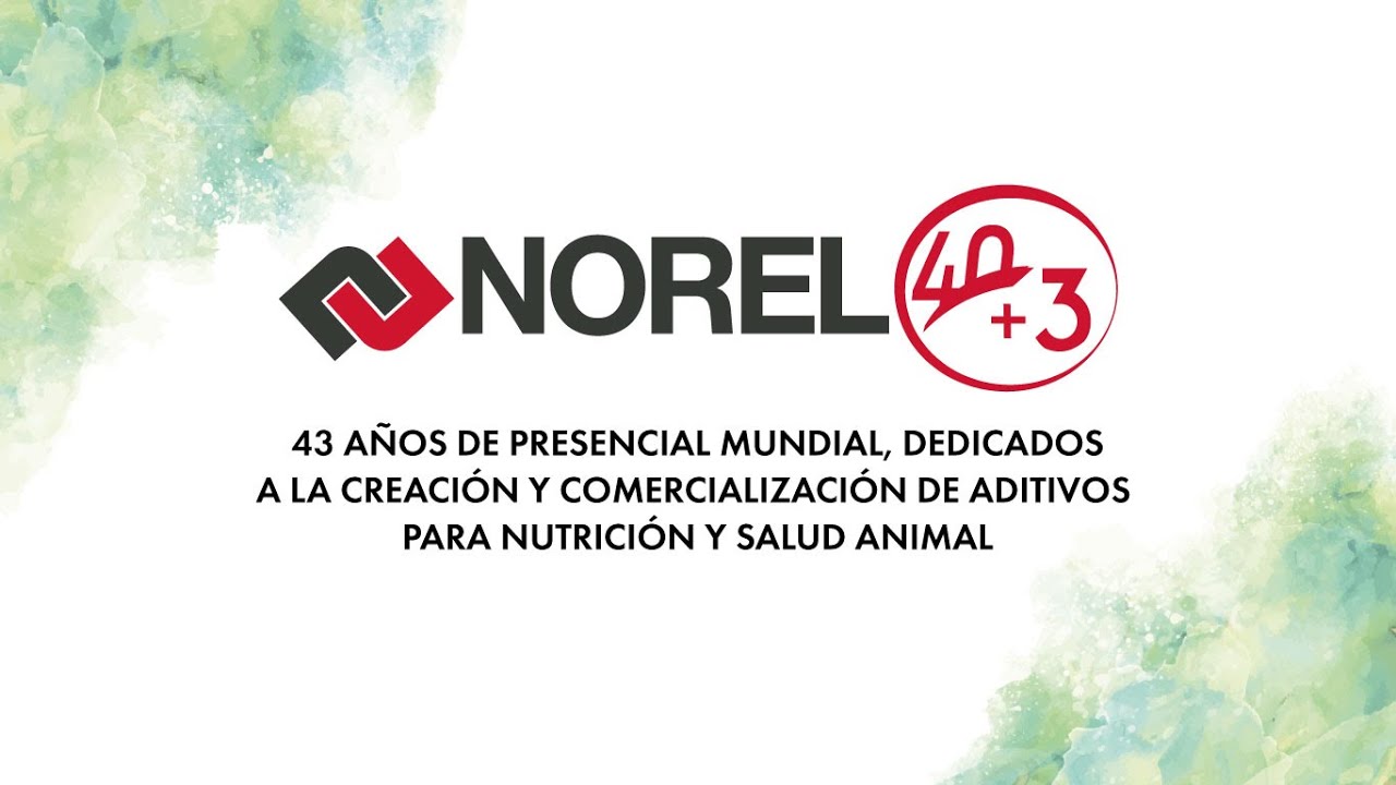 NOREL 40+3 - YouTube