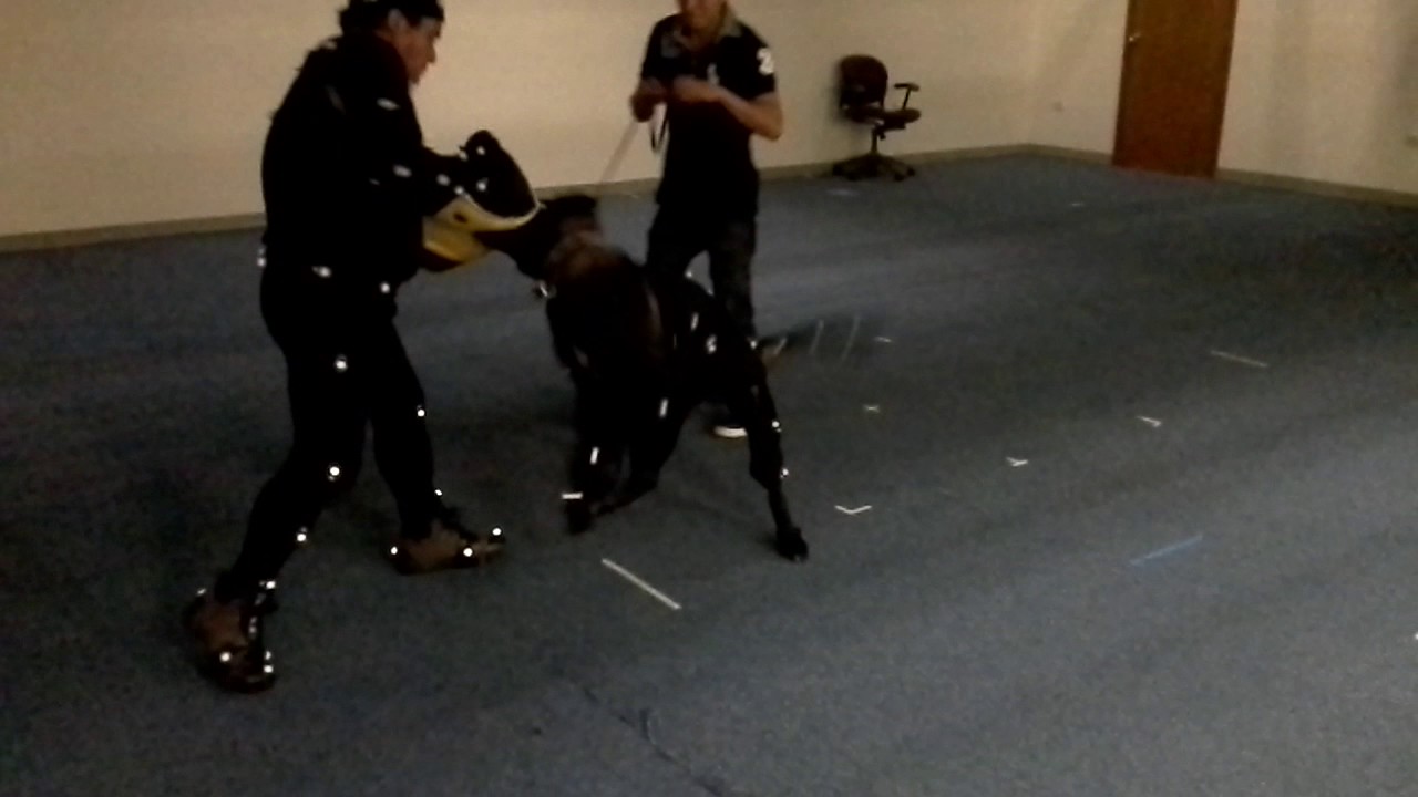 Motion_Capture_Quadrupe_Biped - YouTube