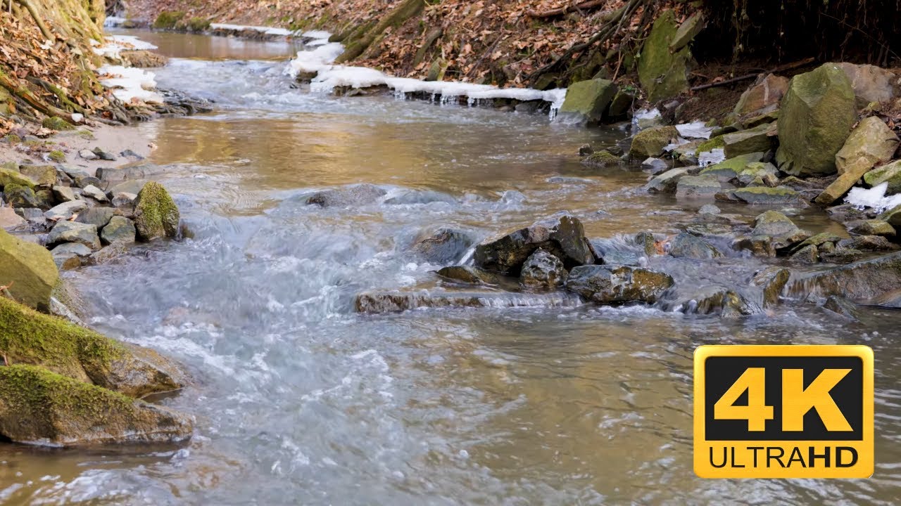 Gentle stream (8 Hours). Relaxing Forest Nature Stream Sounds - YouTube
