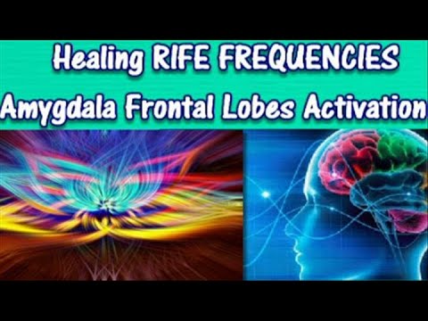 Healing RIFE FREQUENCIES-Pure Tones Theta Wave 4 hz-Amygdala Frontal ...