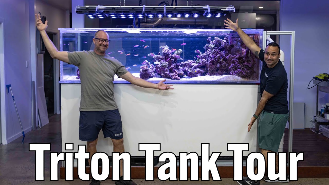 Triton Reef Tank Tour - YouTube