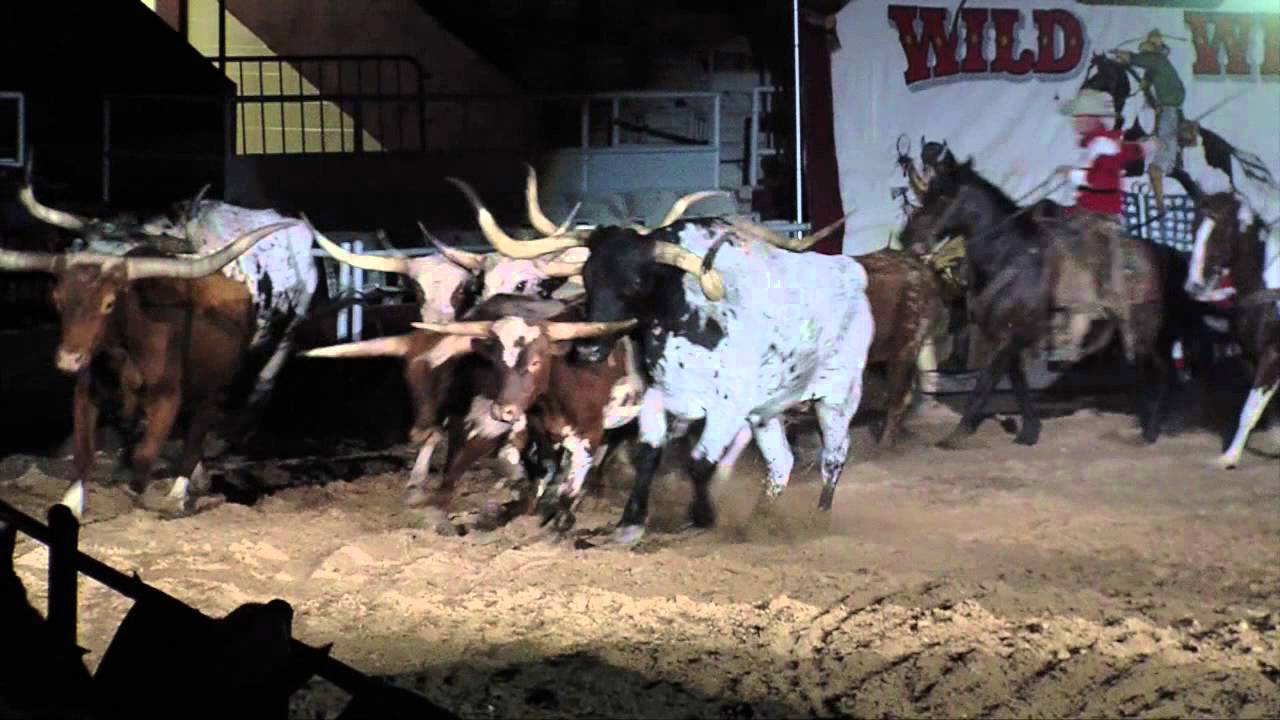 Wild & Wooley Cattle Drive at The Great American Wild West Show - YouTube