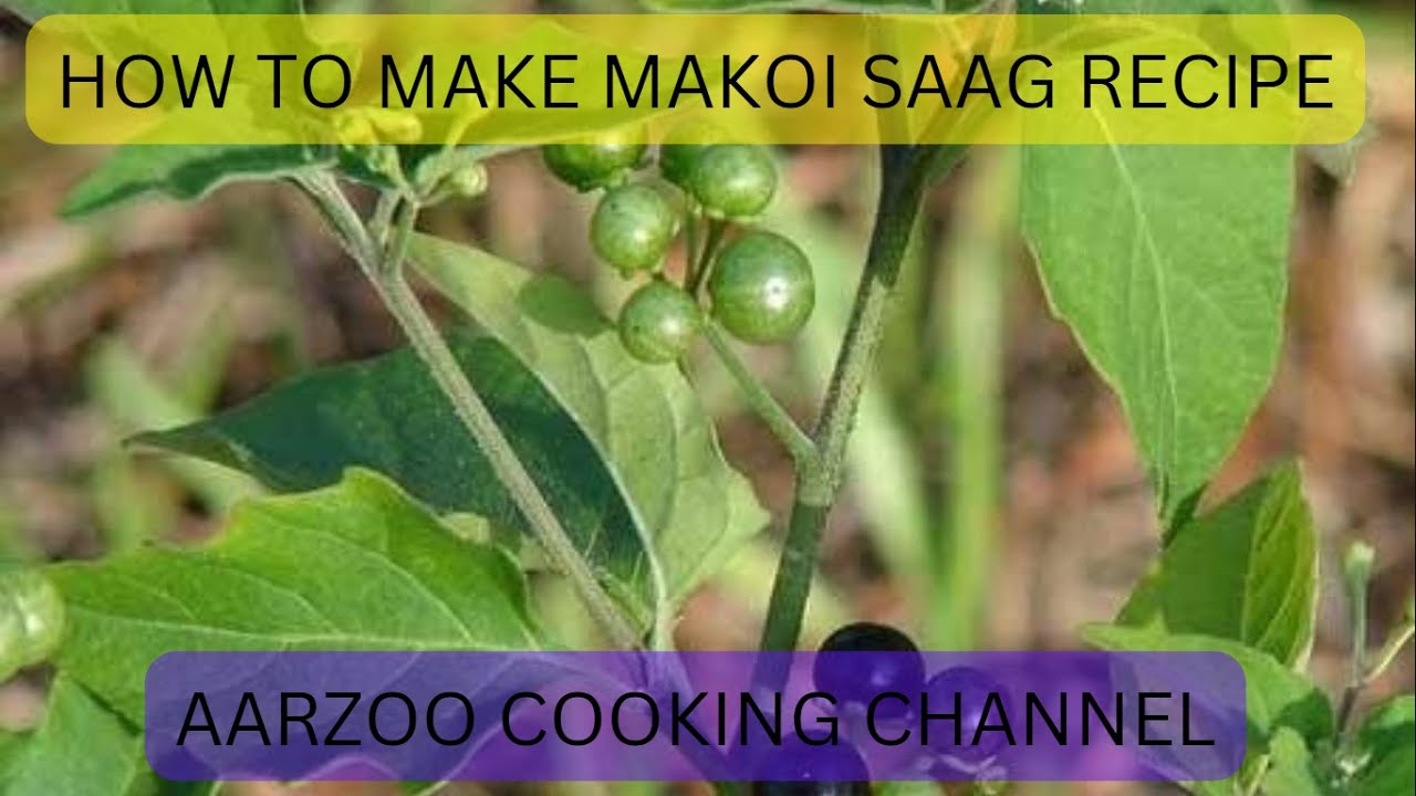 Delicious Makoi Saag Recipe | Healthy & Traditional Green Saag - YouTube