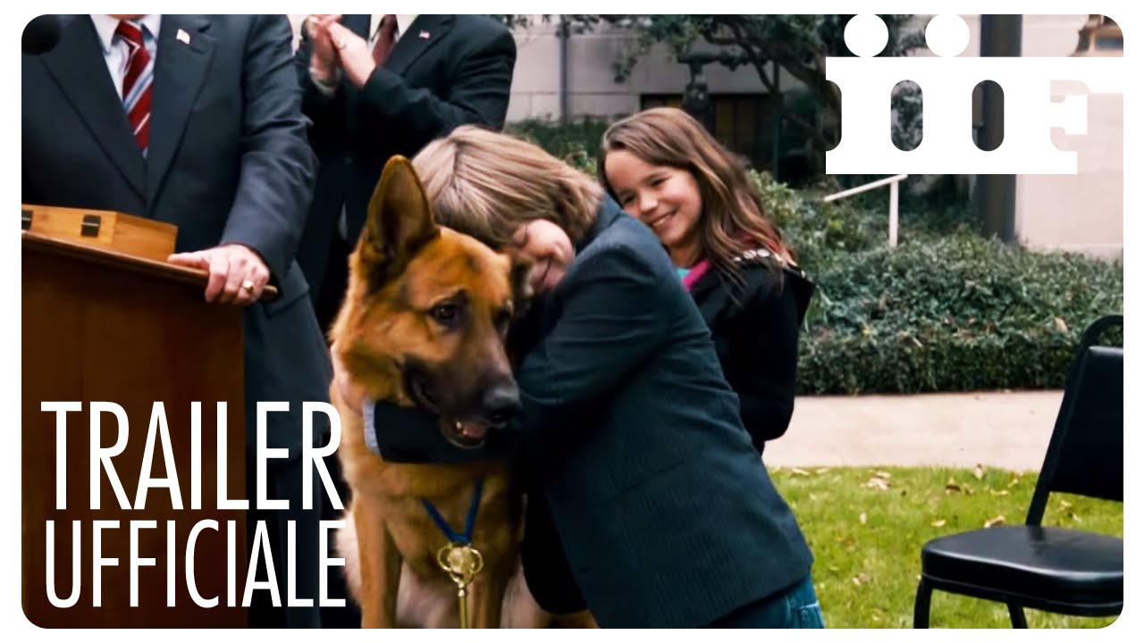 Cool Dog | TRAILER ORIGINALE - YouTube