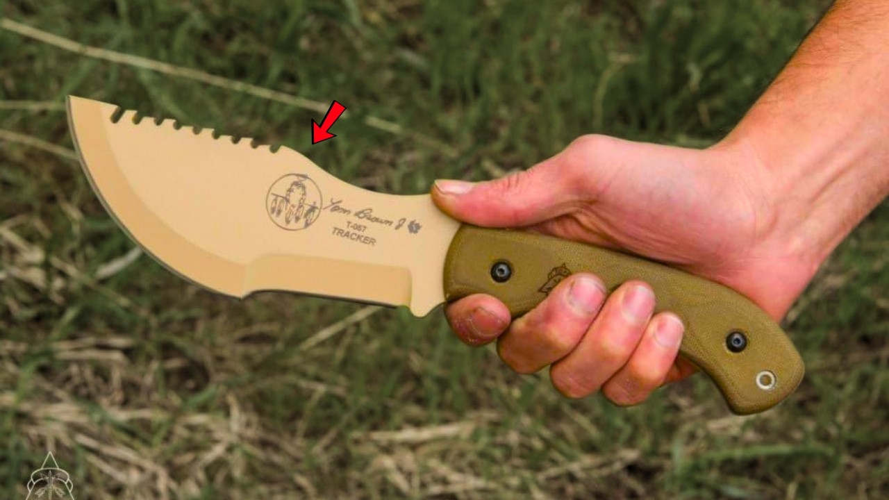 Top 10 Next Level Survival Knives 2025 - YouTube