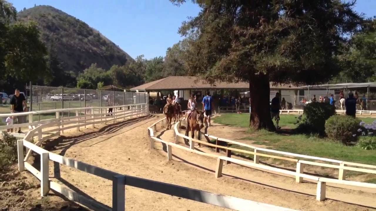 Pony Rides at Griffith Park - YouTube