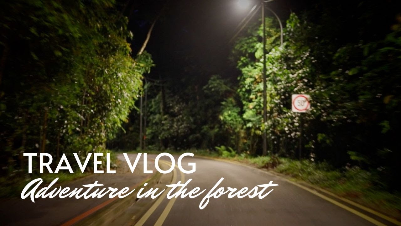 Driving in The Wild Roads - YouTube