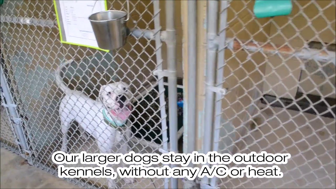 Rescue Rebuild Video - YouTube