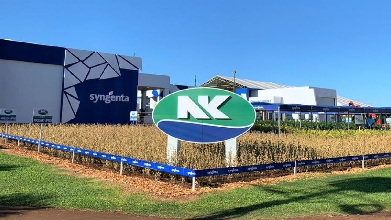 Lançamento exclusivo - Sementes NK Syngenta - YouTube