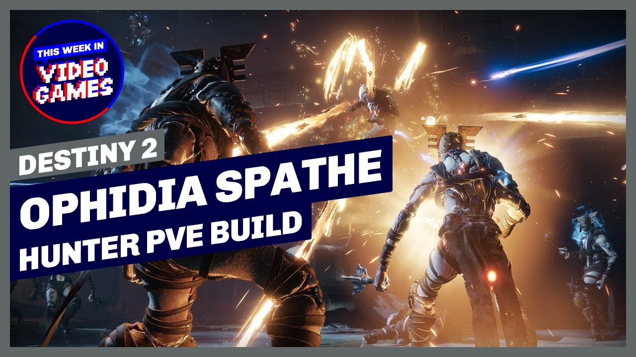 Destiny 2 - Ophidia Spathe Hunter PVE build (No guns with Way of a ...