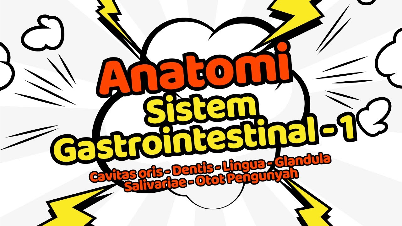 Anatomi Sistem Gastrointestinal 1 - YouTube