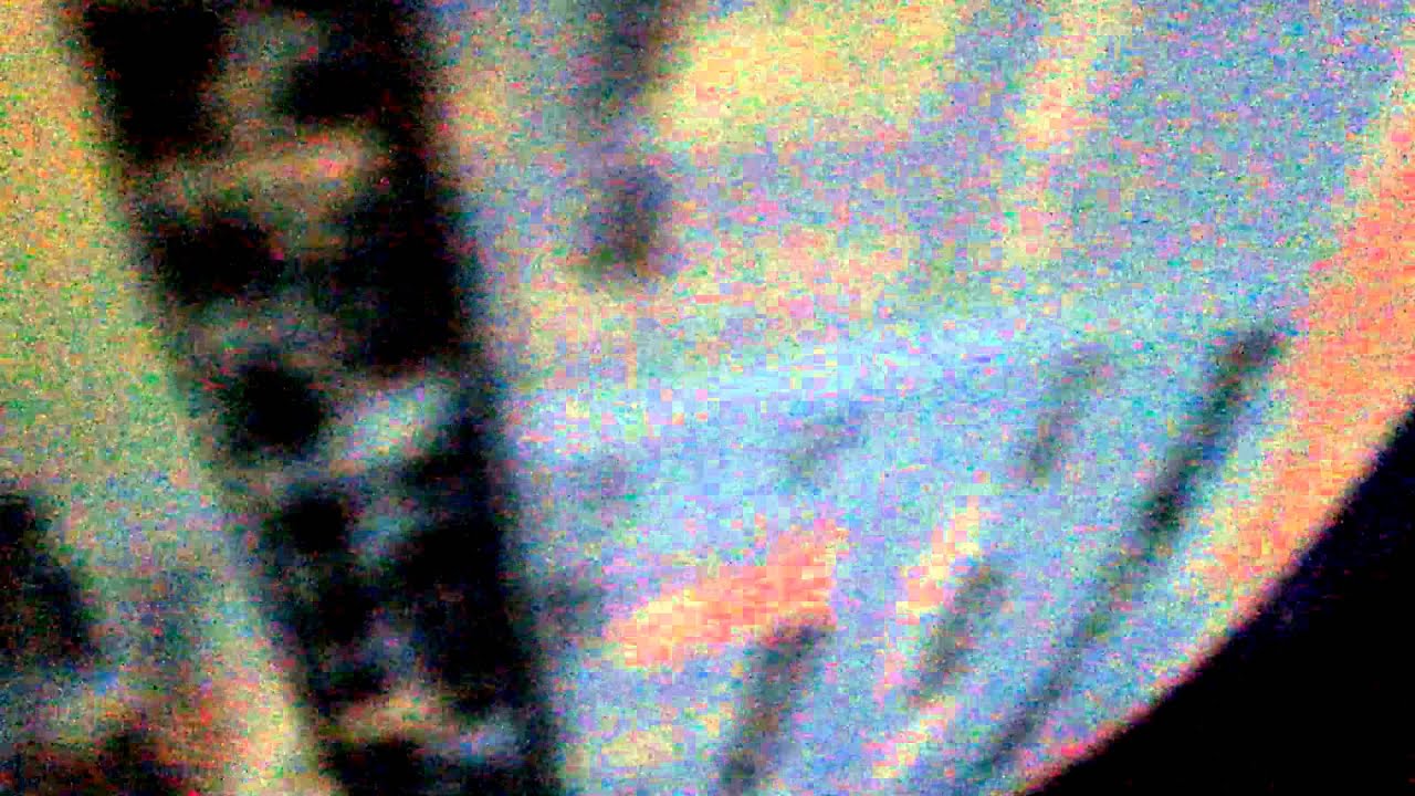 Vlog #81: Inside an Indigo Bus | CCU - YouTube