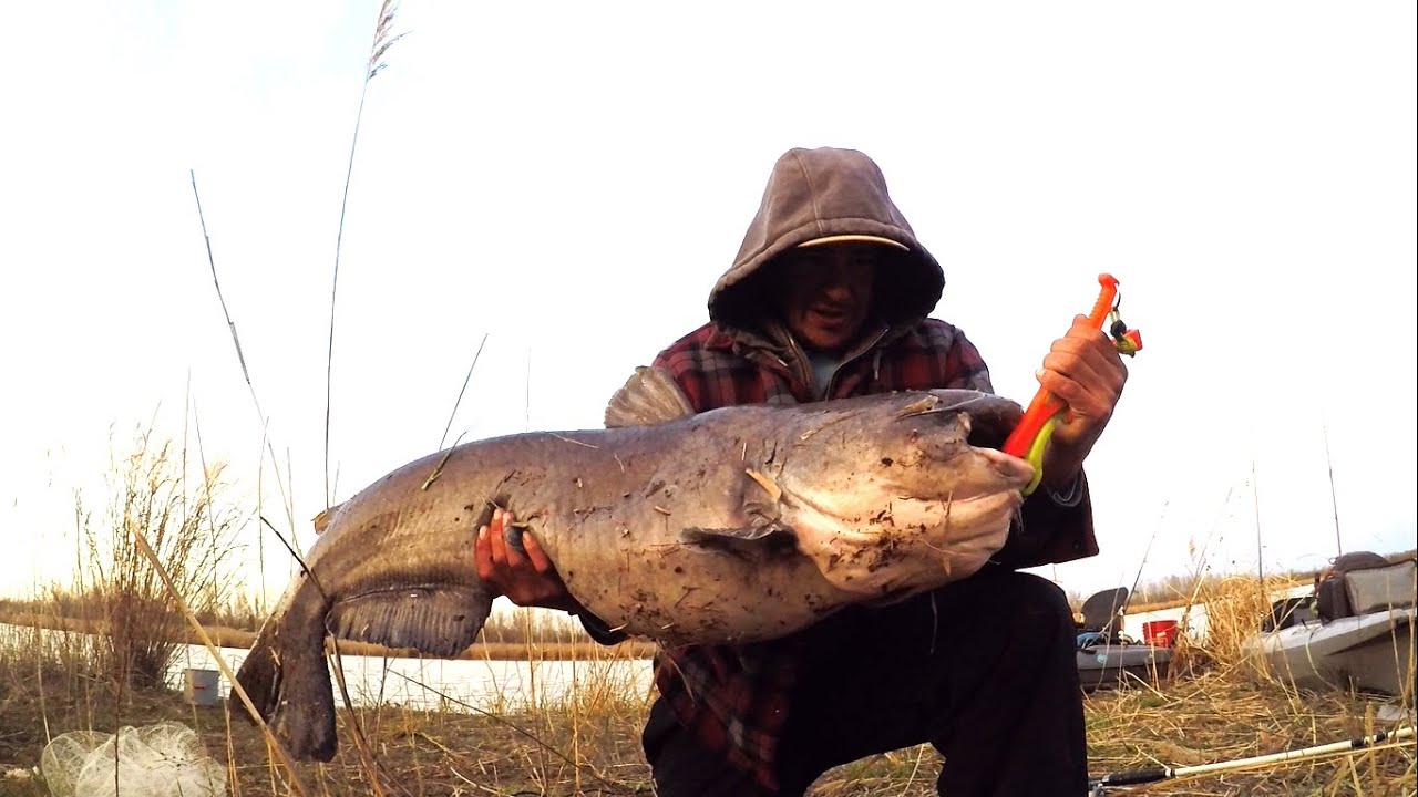 Fishing the Arkansas river for monster catfish pt2 - YouTube