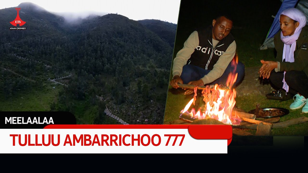 TULLUU AMBARRICHOO 777 etv |Ebc |Etv Afaan Oromoo| oduu Etv Afaan ...