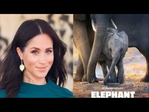 Prince Harry joined Meghan Markle to record her Disney voiceover and ...