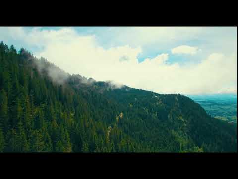 Beautiful Mountain forest with background music