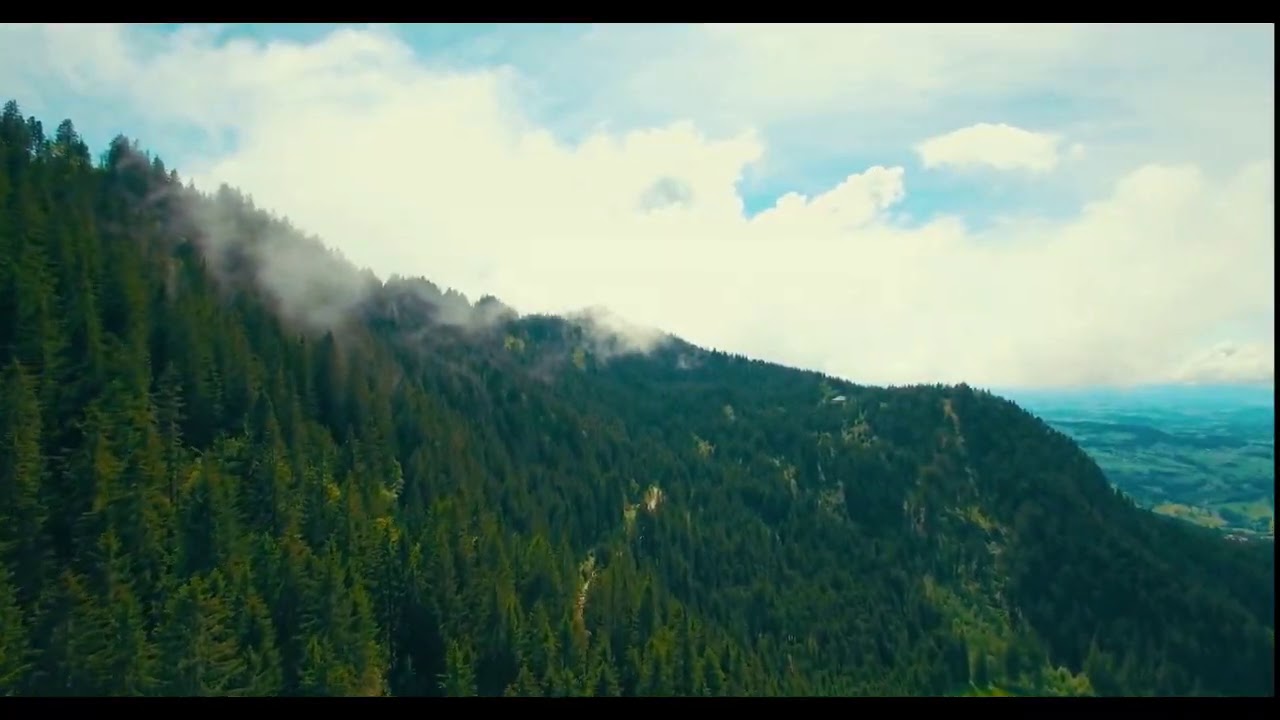 Beautiful Mountain forest with background music - YouTube