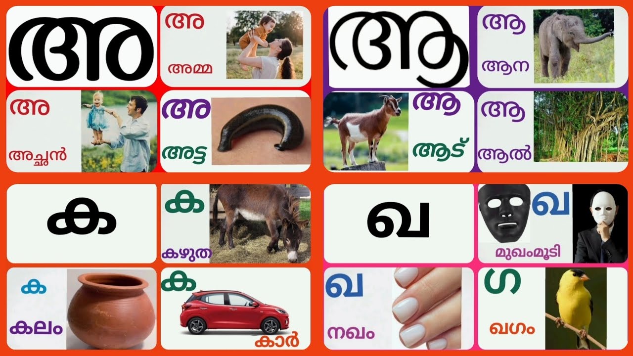 മലയാളം അക്ഷരമാല | സ്വരാക്ഷരങ്ങളും വ്യഞ്ജനാക്ഷരങ്ങളും | Malayalam ...